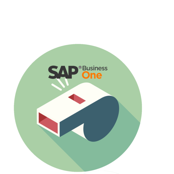 Simple & Powerful – SAP Business One – Avaniko Blogs
